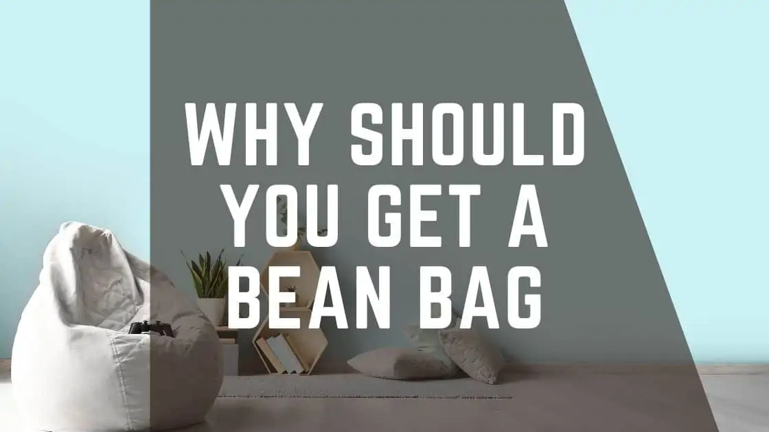 Camera Bean Bags – Complete Guide – Bean Bags Expert